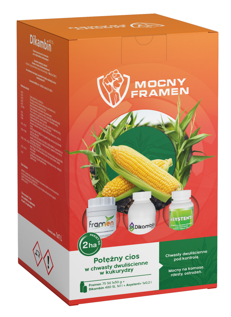 ZESTAW MOCNY FRAMEN - wybieram INNVIGO