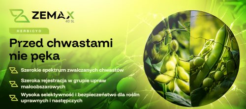 ZEMAX 40 SL - wybieram INNVIGO