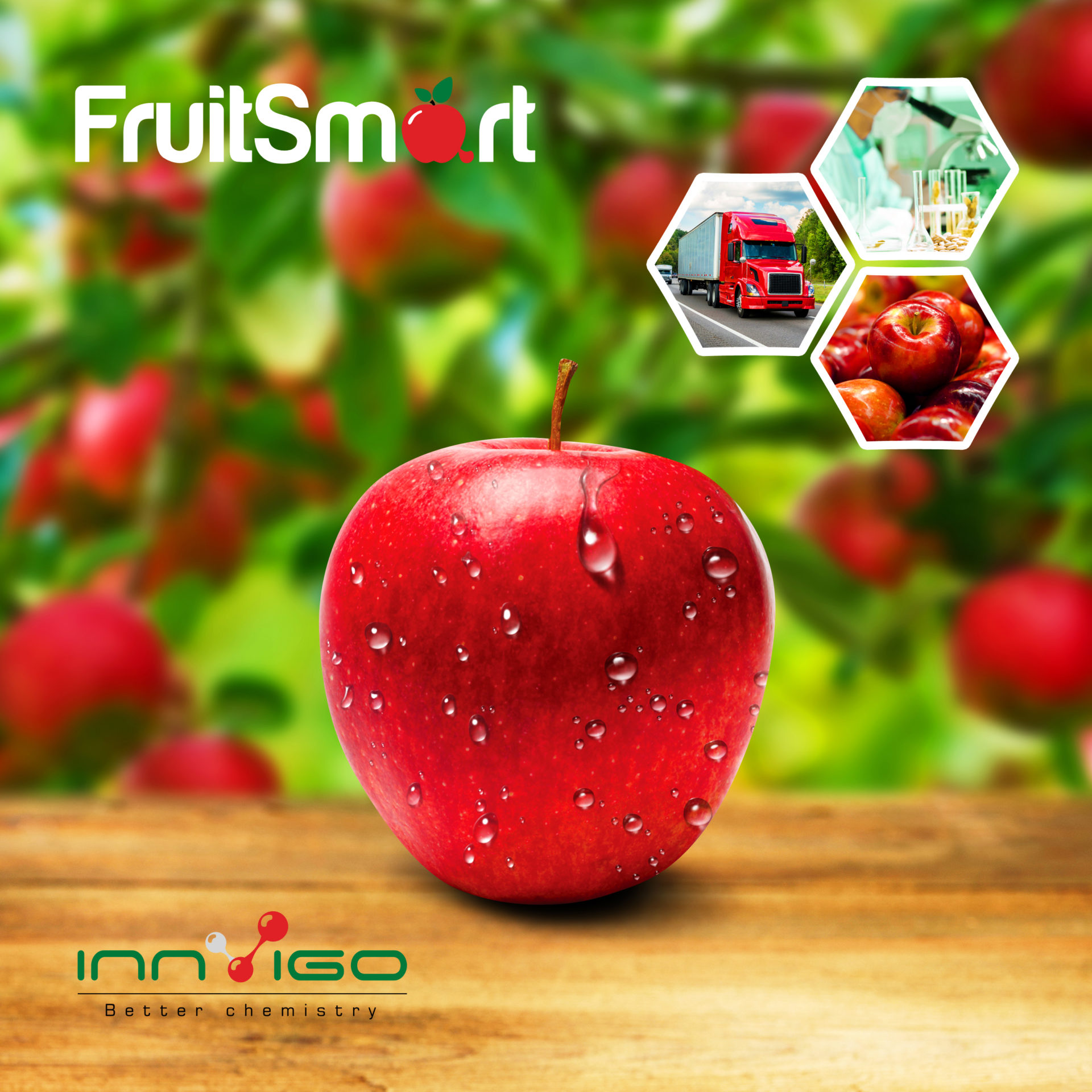 FRUITSMART DOBRY TAKŻE W CHŁODNI ZWYKŁEJ